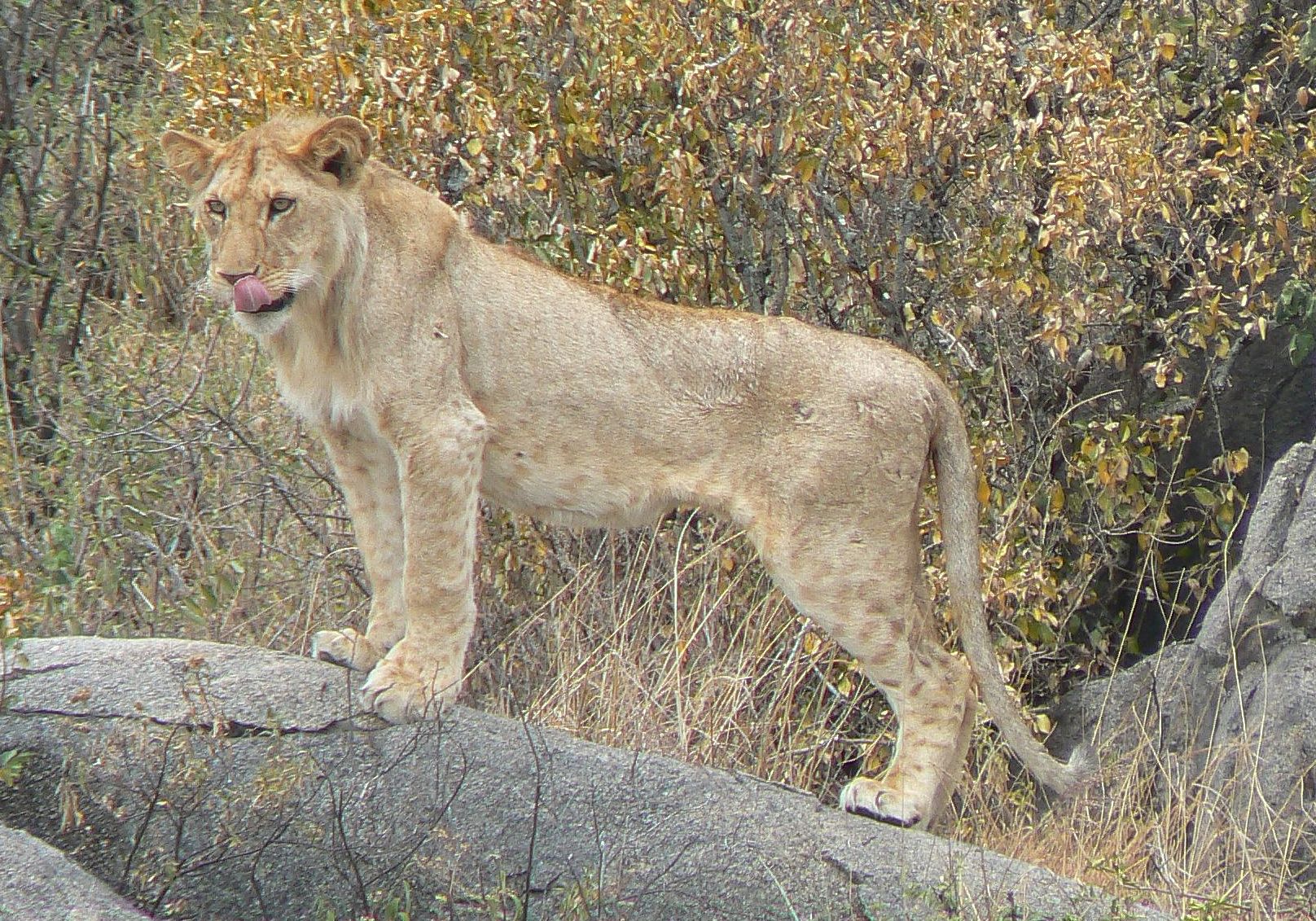 Glenn Alcott Travel Photos